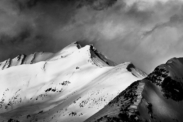 Carolyn Guild Black and White Photography